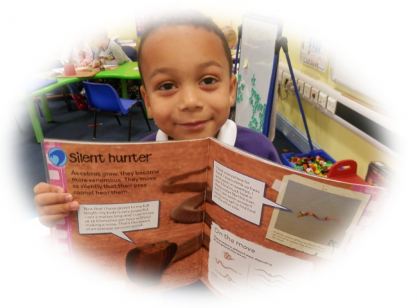 Phonics And Reading Schemes Horsford CofE VA Primary School